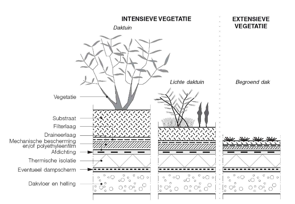 Opbouw groendaken - Artikel - Dobbit