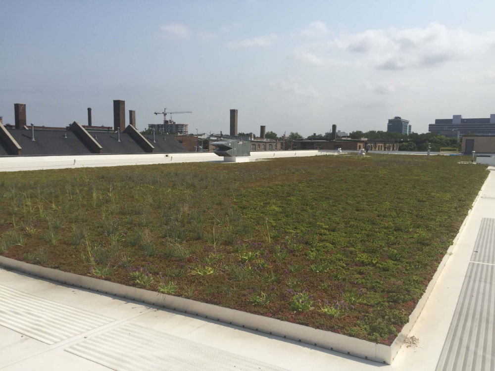 Les membranes de toit TPO combinent durabilité et souplesse avec bien ...