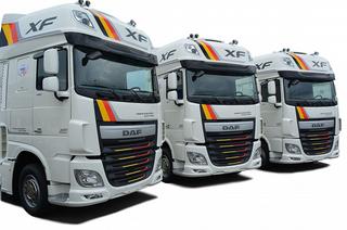 DAF Westerlo - Dobbit